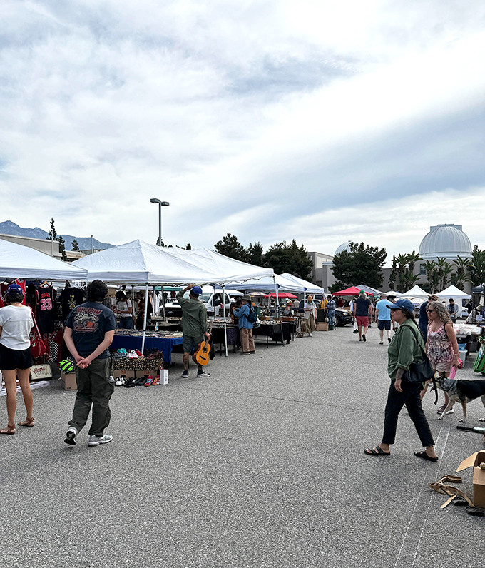 Treasure hunters navigate the sprawling outdoor section of PCC Flea Market, where white canopies shelter countless possibilities under the watchful gaze of Pasadena's mountains.