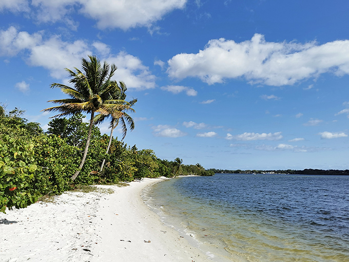 Nature's masterpiece unfolds at Jonathan Dickinson State Park, where 10,500 acres of wild Florida invite you to trade theme park fantasies for the authentic magic of cypress-lined waterways and ancient ecosystems.