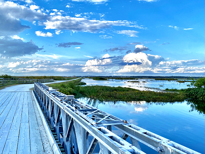 Nature's boardwalk stretches into a watercolor painting of blues and greens. Florida showing off without a single roller coaster in sight.