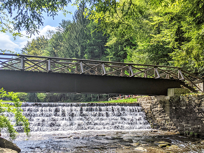 That perfect moment when nature creates its own postcard &ndash; a rustic bridge spanning a gentle waterfall, practically begging you to stop and contemplate life's big questions.