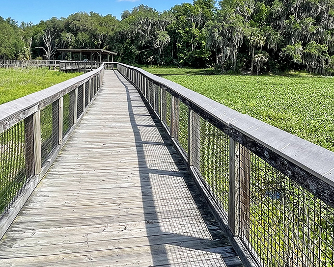 The wooden boardwalk stretches into wetland paradise, inviting you to leave your worries on the mainland and step into Florida's wild heart.