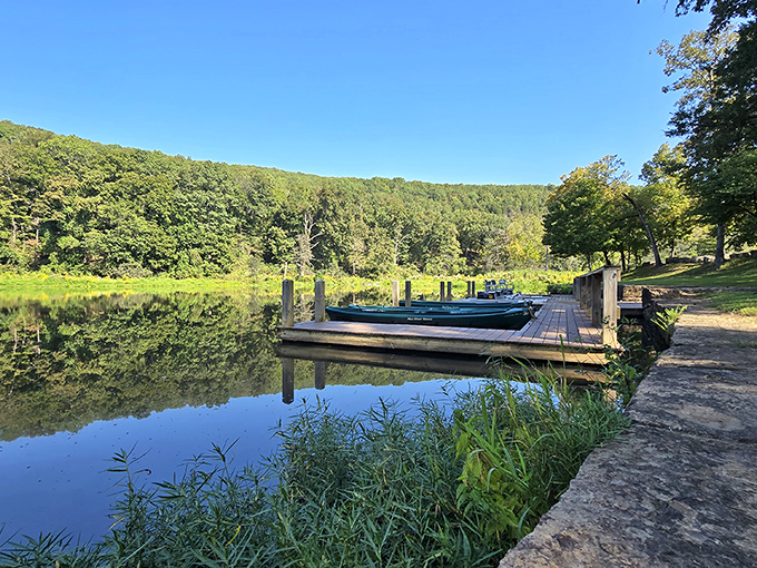 Mother Nature's mirror game at its finest&mdash;crystal waters reflect towering trees while a wooden dock beckons adventure seekers at Devil's Den.