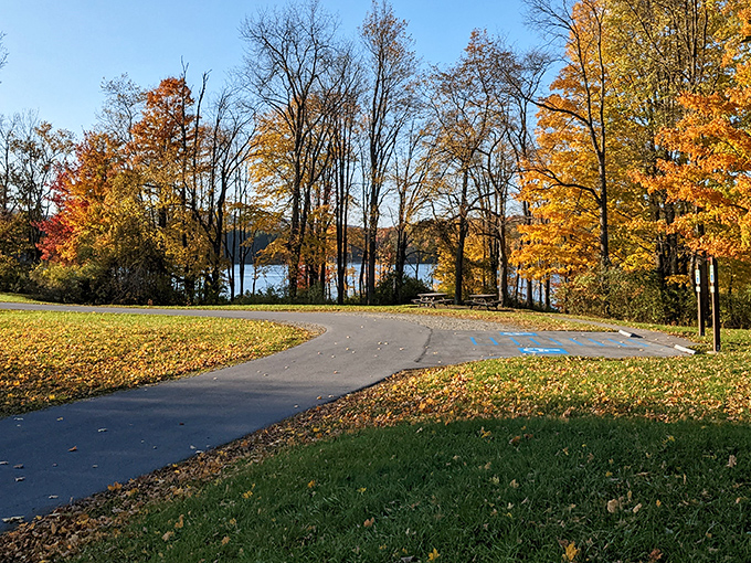 Fall's masterpiece on display! Nature's paintbrush transforms Hills Creek State Park into a kaleidoscope of amber and gold, with the lake peeking through like a sapphire secret.