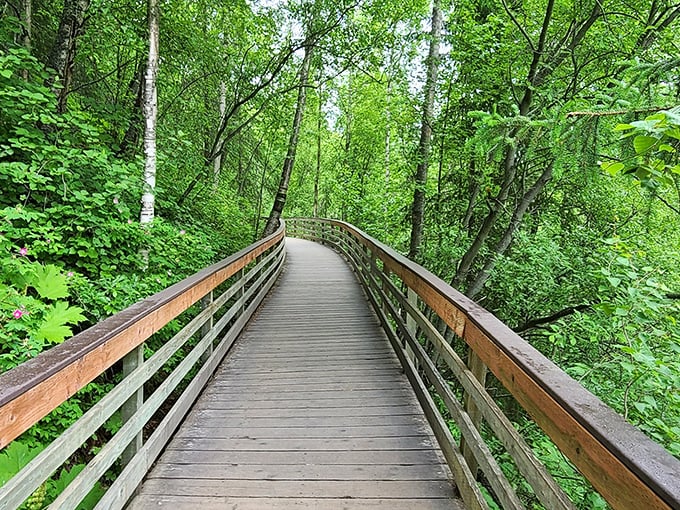 A wooden boardwalk winds through a lush green forest, inviting you to wander deeper into Alaska's emerald embrace. Nature's red carpet treatment, minus the paparazzi.