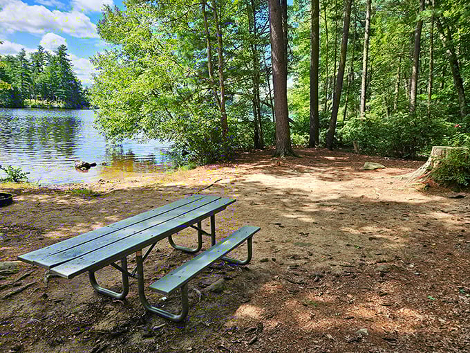 Mother Nature's mirror game is unbeatable here, where the still waters create perfect reflections that would make even Narcissus say, "Okay, I get it now."
