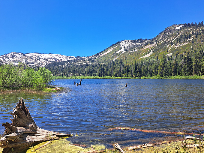 Nature's perfect mirror: Plumas-Eureka's alpine lakes reflect the Sierra Nevada peaks with such clarity, you'll wonder which way is up.