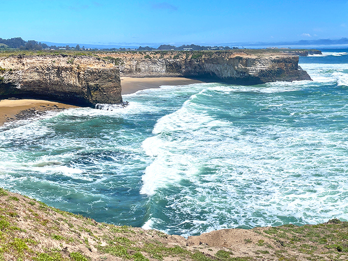 Nature's perfect balcony view! The dramatic cliffs of Wilder Ranch meet the Pacific in a display that makes even seasoned travelers stop mid-sentence.