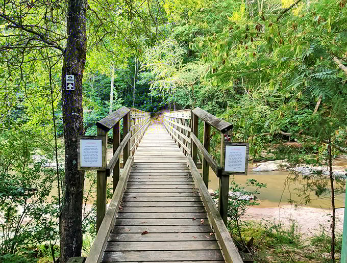 Nature's welcome mat unfurls at this wooden footbridge, inviting you into a green cathedral where stress dissolves faster than sugar in sweet tea.