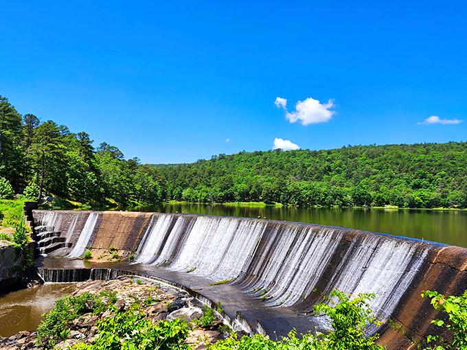 The Lake Carlton dam creates a scene straight out of a Bob Ross painting&mdash;"happy little trees" included, no artistic license required.
