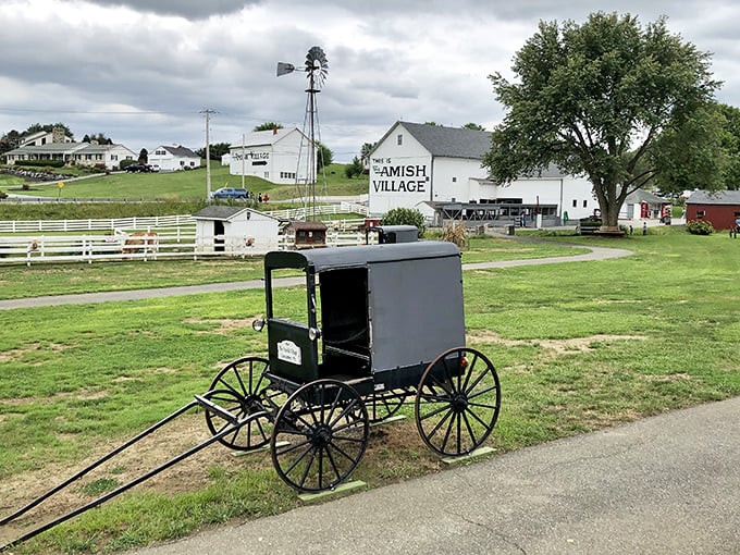 The classic Amish buggy sits ready for its close-up, while the iconic white barn and windmill create that perfect "I've stepped back in time" backdrop.