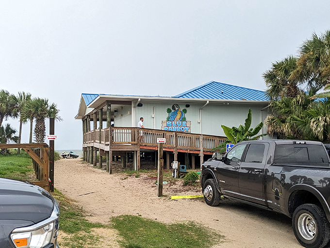 The Blue Parrot stands like a coastal sentinel, its bright blue roof and weathered wooden deck beckoning hungry travelers from the sandy path.