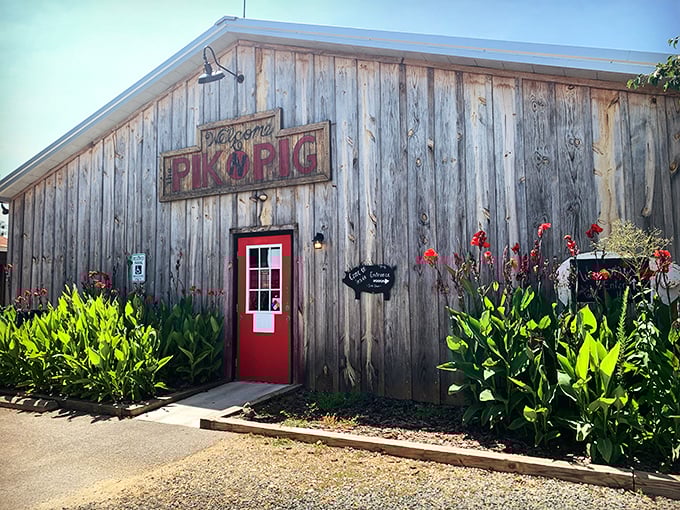 Sun-drenched and welcoming, this rustic barbecue haven stands like a smoke-scented beacon for hungry travelers and pilots alike.