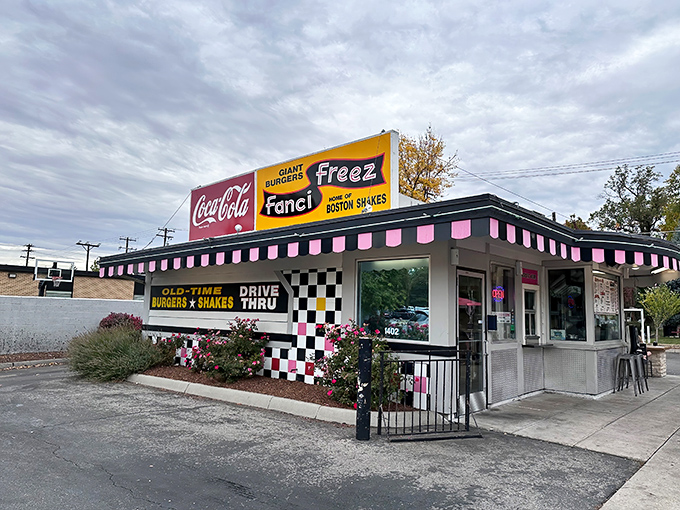 Sometimes the best restaurants look like this: no frills, just a promise of something special waiting behind the counter.