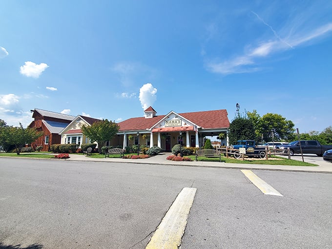 A wider view reveals Mama's Farmhouse in all its Southern glory, where cars in the parking lot suggest you're not the only one who got the memo about those biscuits.