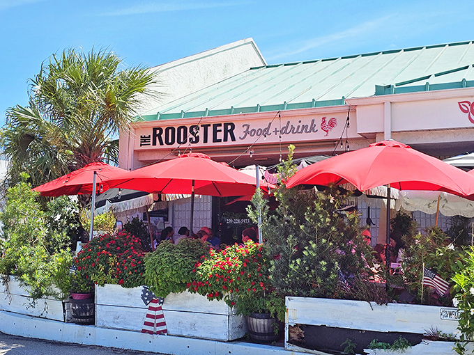 The Rooster's vibrant exterior with its cheerful red umbrellas and lush flower boxes feels like Florida's answer to a Parisian sidewalk caf&eacute;.