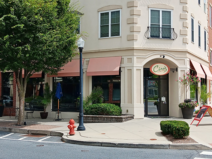Tucked away on a charming Lancaster corner, Ciro's Italian Bistro beckons with its understated elegance and promise of authentic flavors within.