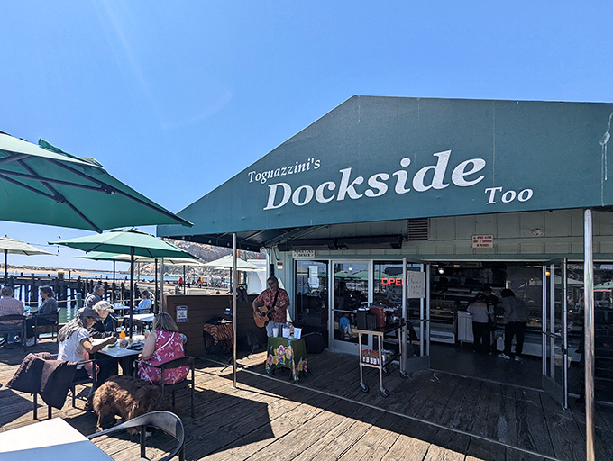 A slice of seafood paradise on Morro Bay's waterfront, where live music and ocean breezes create the perfect backdrop for your chowder-fueled happiness.