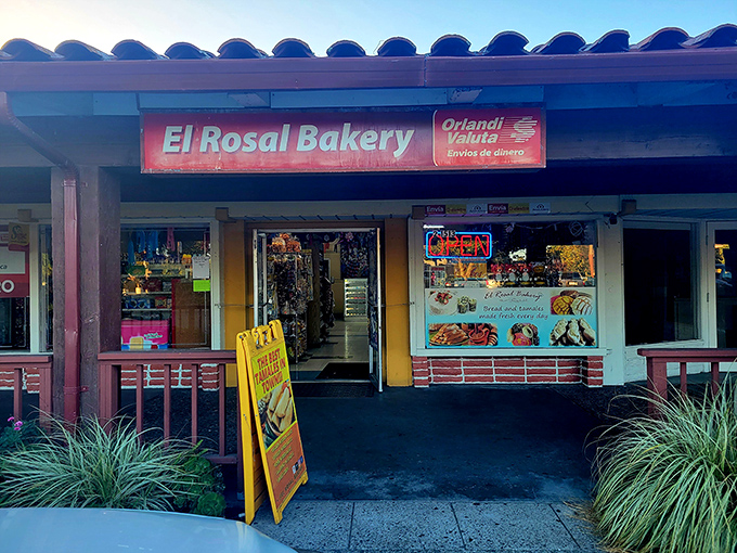 The unassuming yellow storefront of El Rosal promises treasures within, like finding the door to Narnia in a wardrobe &ndash; but with better snacks.