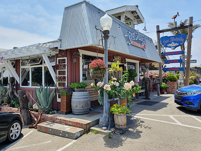 The iconic Sea Shanty exterior welcomes visitors with its striking blue roof, vintage charm, and abundance of colorful plants. California coastal dining at its unpretentious best!