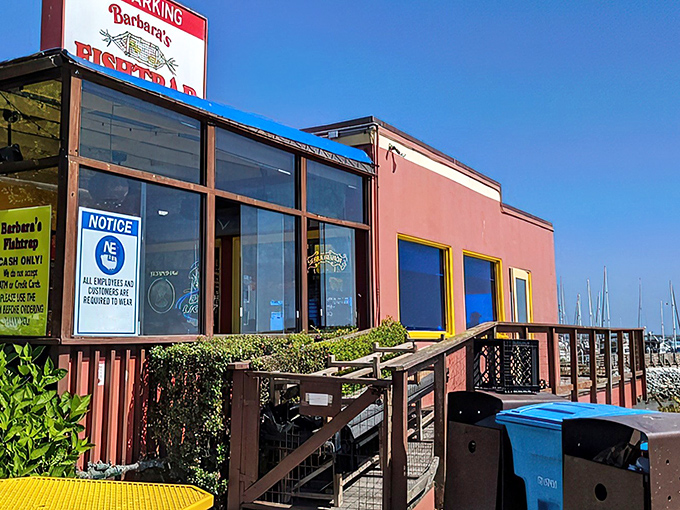 The unassuming pink exterior of Barbara's Fishtrap stands like a coastal sentinel, promising seafood treasures within. No fancy frills, just the real deal.