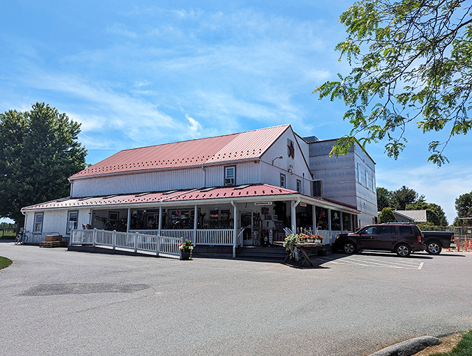 The unassuming exterior of Bird in Hand Bakeshop hides a treasure trove of baked delights that would make Mary Berry weep with joy.