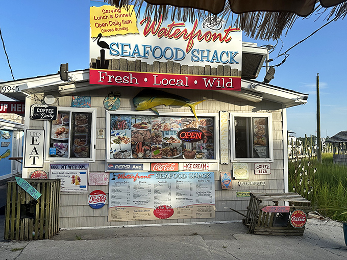 The weathered sign promises "Fresh &bull; Local &bull; Wild" &ndash; three words that perfectly sum up the coastal Carolina experience waiting inside this unassuming seafood haven.