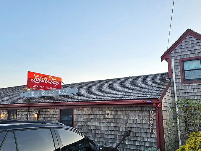 The weathered cedar shingles and iconic red sign announce you've arrived at seafood nirvana. Cape Cod authenticity doesn't get more real than this.