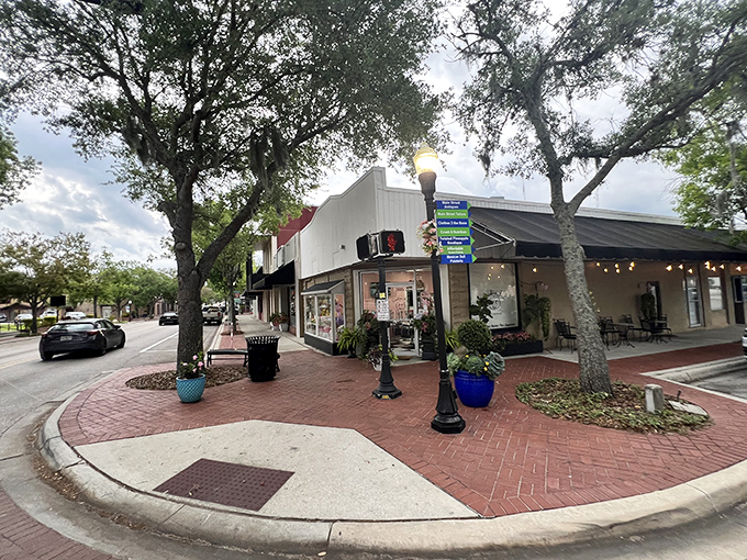 Downtown Bartow's charming streetscape sets the perfect stage for Cookie Jar Bakeshop, where brick sidewalks and mature trees create an inviting approach to sweet indulgence.