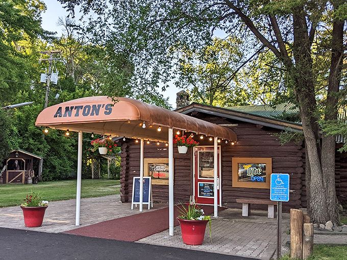 Anton's rustic log cabin exterior isn't trying to be Instagram-worthy—it just naturally is. Minnesota supper club perfection awaits beyond that welcoming red door.