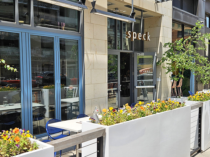 Outdoor seating at Speck offers a perfect urban oasis. White planters with greenery create a barrier between you and the world while you contemplate your next pasta order.