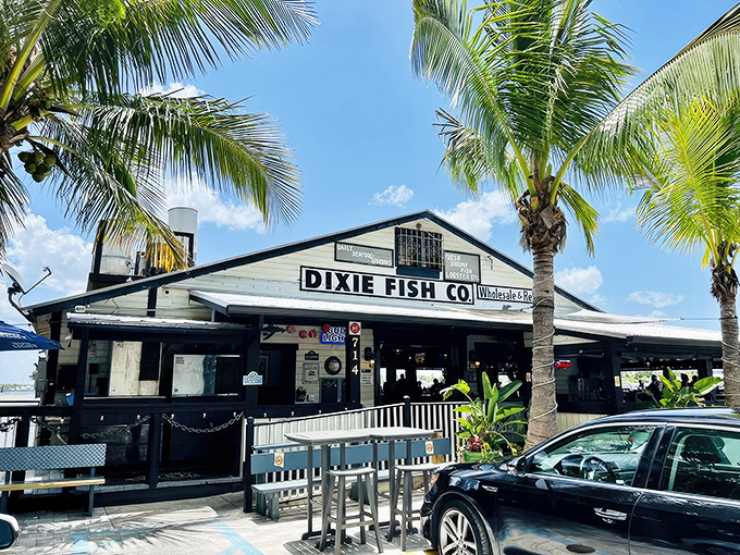 Perched on stilts above Matanzas Pass, Dixie Fish Co. looks like the Florida seafood joint of your dreams, complete with swaying palms and endless blue skies.