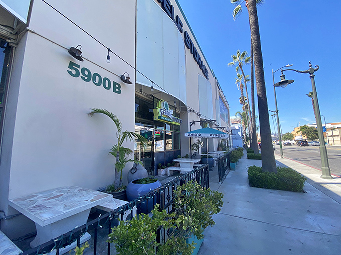 Unassuming strip mall location? Check. Culinary treasures inside? Double check. The best food adventures often begin where you least expect them.