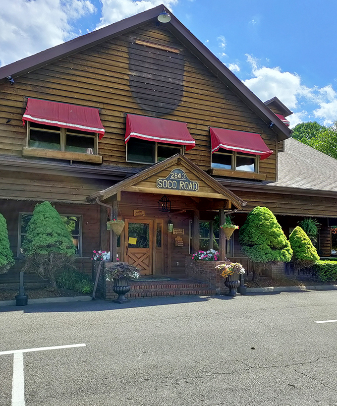 Sometimes the best restaurants look like your friend's particularly ambitious cabin project, complete with that perfect weathered charm.
