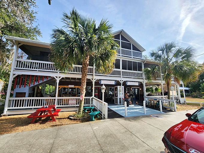 The charming white facade of Coffee n' Cream welcomes you like an old friend, complete with colorful picnic tables and swaying palms that whisper, "Slow down, you're in Micanopy now."