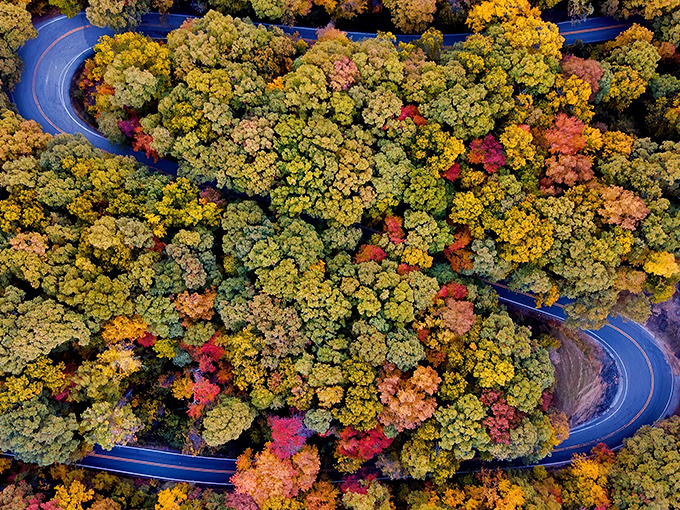 Where the road becomes poetry &ndash; aerial view of the Pig Trail's famous curves cutting through fall foliage like nature's own signature on the Ozark landscape.