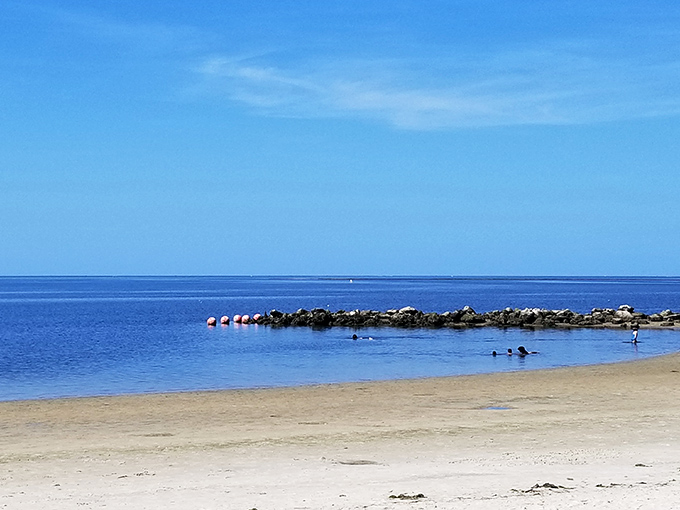 Where the Gulf of Mexico meets unspoiled shoreline, Fort Island Beach offers that increasingly rare Florida experience&mdash;serenity without the souvenir shops.