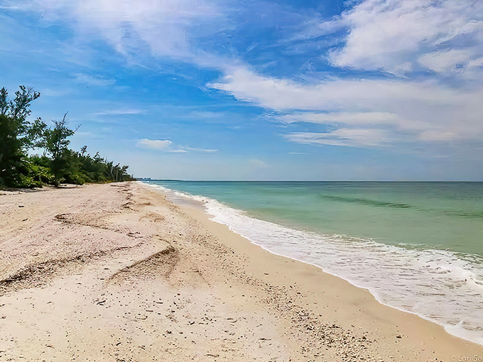 Miles of untouched shoreline stretch before you, where the only footprints might be your own. This is Florida before the high-rises took over.