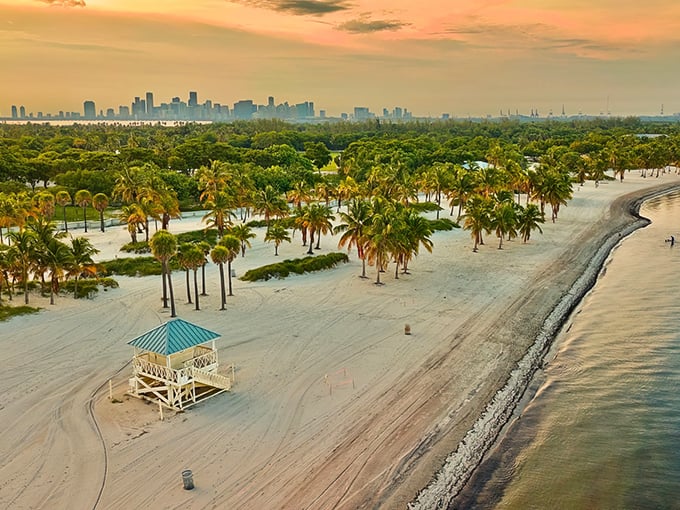 Miami's skyline plays peekaboo in the distance as palm trees stand like nature's welcoming committee on Key Biscayne's pristine shores.