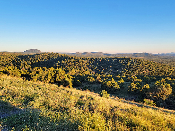 Golden hour transforms this Arizona vista into nature's own light show. Who needs Broadway when you've got this kind of dramatic staging?