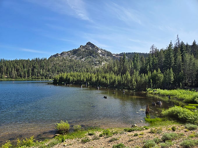 Nature's perfect mirror: Plumas-Eureka's alpine lakes reflect the Sierra Nevada peaks with such clarity, you'll wonder which way is up.