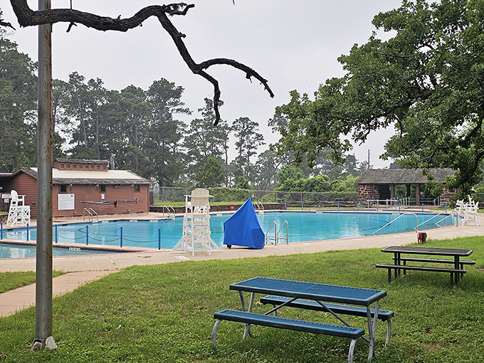 The swimming pool at Bastrop State Park isn't just a place to cool off&mdash;it's where pine-scented breezes meet chlorine in perfect Texas harmony.