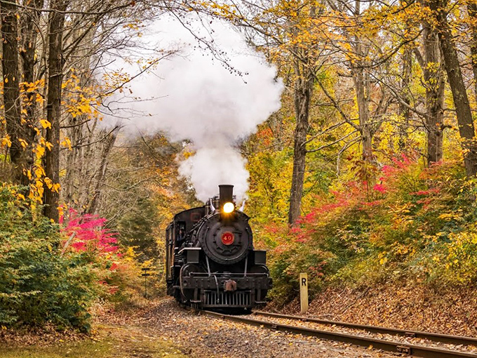 Steam and autumn leaves create a Connecticut postcard moment that makes modern transportation look boring by comparison.