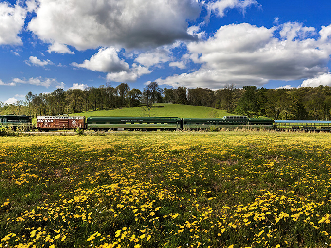The classic green and gold livery of the French Lick Scenic Railway cuts through a meadow of wildflowers, like a time machine on wheels.