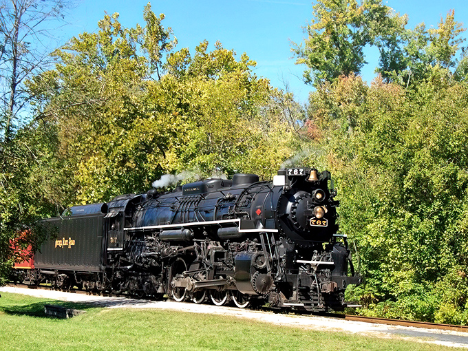 A majestic steam locomotive glides through lush Ohio scenery, offering a classic countryside journey that feels like stepping back in time.