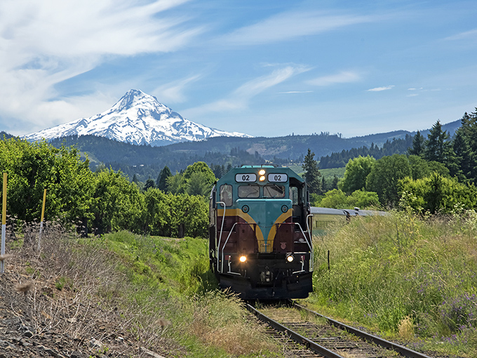The little locomotive that could! Mount Hood's vintage diesel engine chugs along, with Oregon's iconic peak playing the role of photobomber-in-chief.