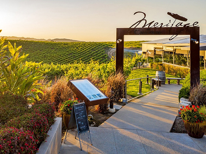 Golden hour transforms this vineyard gateway into a portal to wine paradise, where every path leads to delicious discoveries.