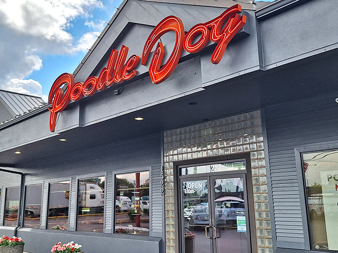 The iconic red neon "Poodle Dog" sign beckons hungry travelers like a lighthouse for the famished. This roadside landmark promises comfort food salvation just off I-5.