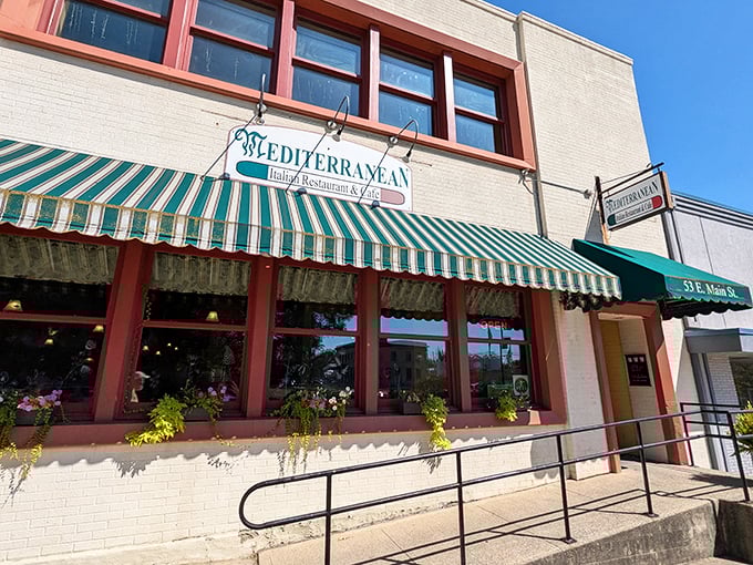 The classic green and white awning beckons like an old friend, promising Mediterranean delights behind that unassuming brick fa&ccedil;ade on Wilmington's Main Street.