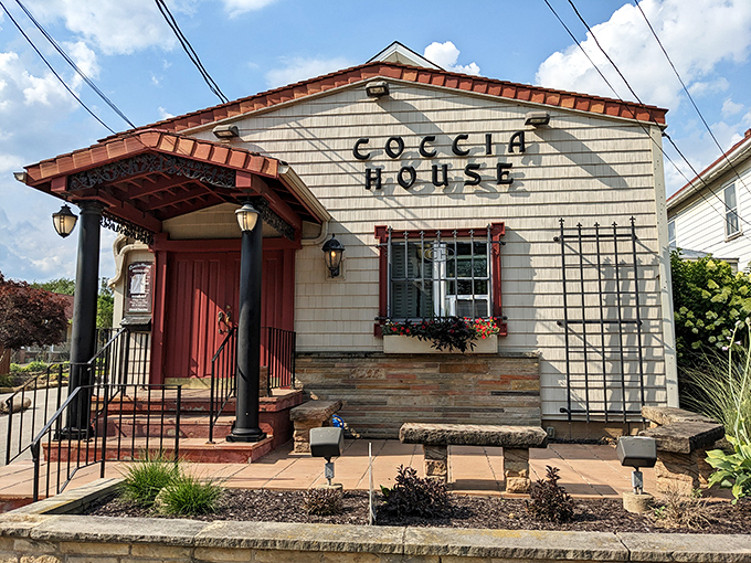 The unassuming exterior of Coccia House proves once again that the best Italian treasures often hide behind the simplest facades. Those brick steps have welcomed pizza pilgrims for generations.