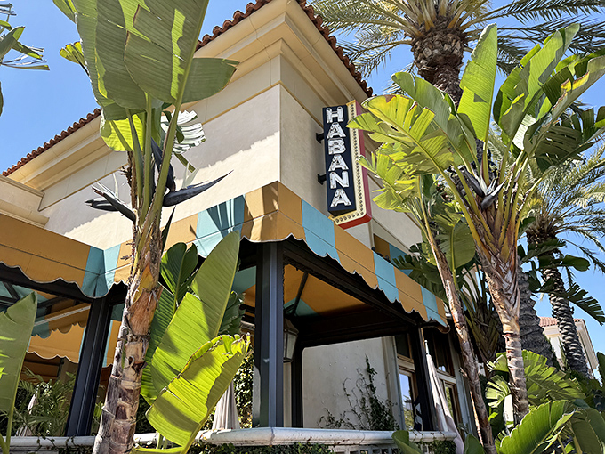 Palm trees and striped awnings announce you've arrived somewhere special&mdash;Costa Mesa's little slice of Havana awaits inside.